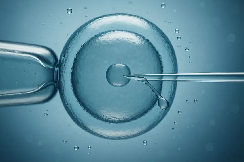 Fertilização in vitro: Processo, Riscos e Valor | SEros Blog